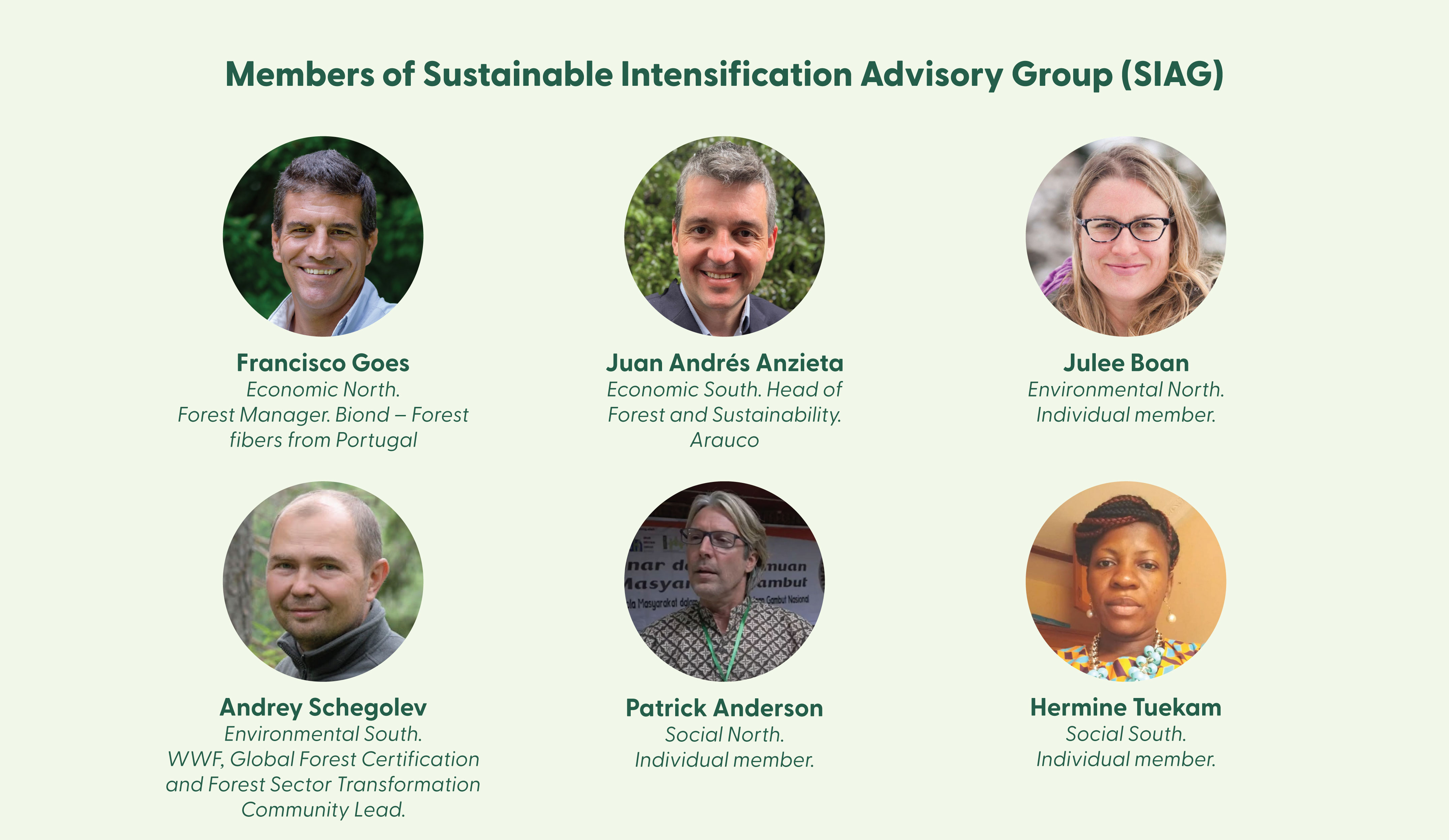 Intensified Forestry and Shared Values | FSC Connect